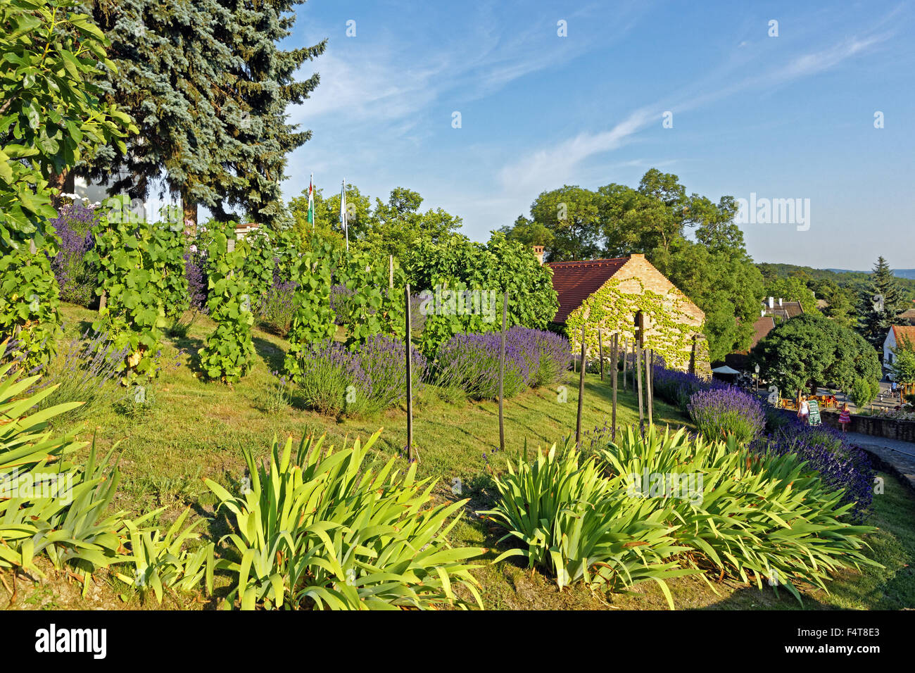 Monastery gardens, panorama Stock Photo - Alamy