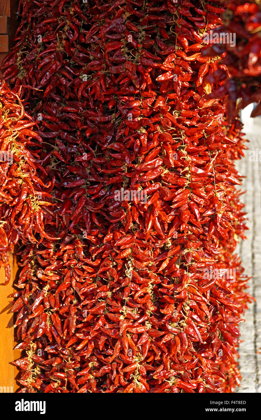 Drying Paprika Peppers