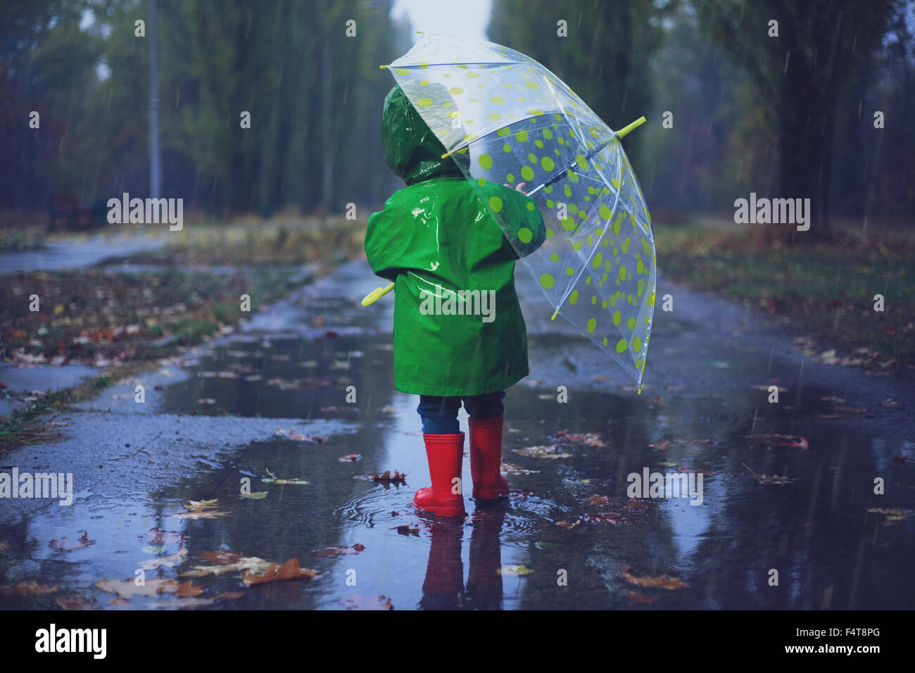Baby walking in autumn rainy park Stock Photo - Alamy