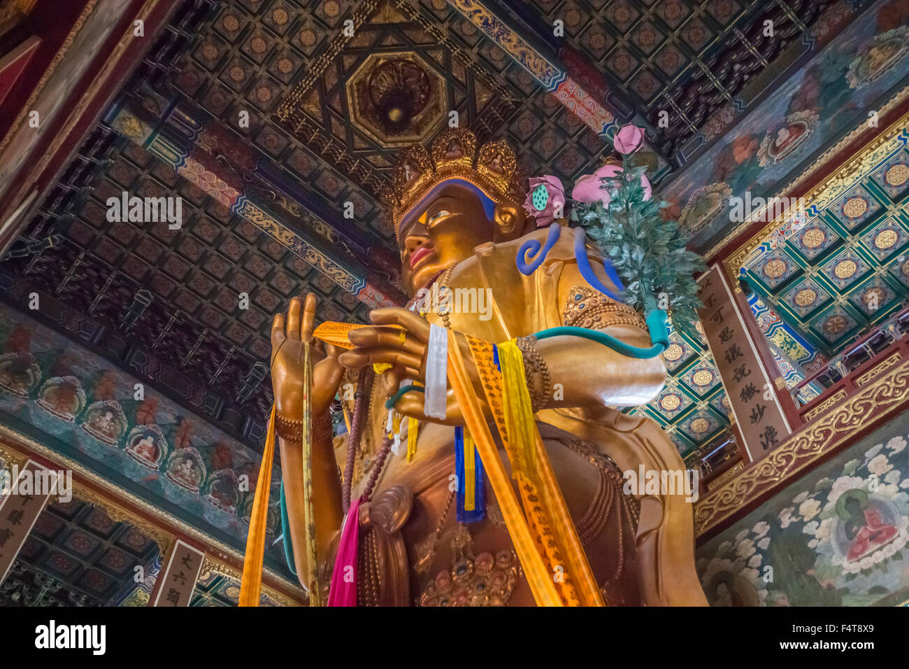 Lama temple hi-res stock photography and images - Alamy