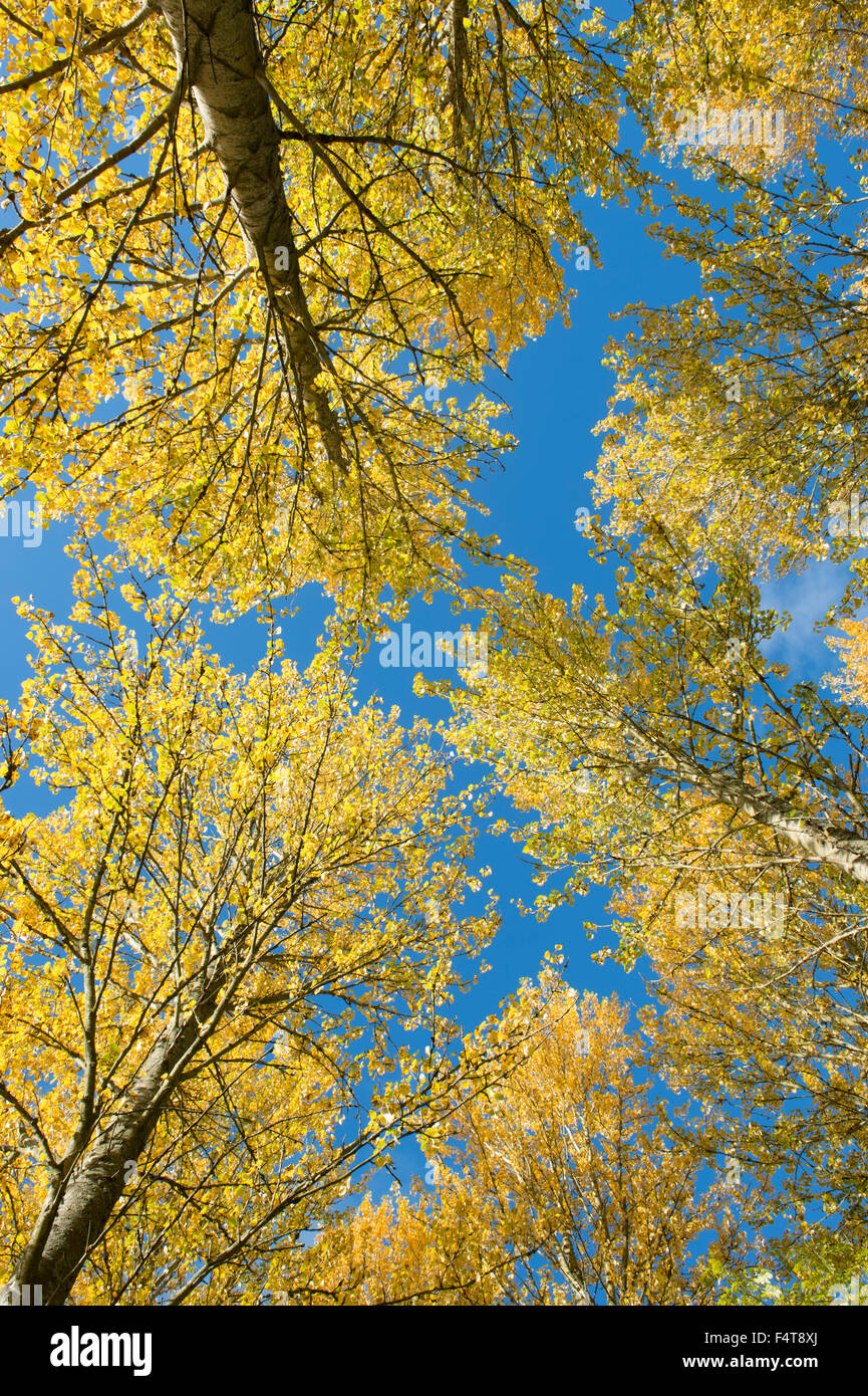 Changing borders hi-res stock photography and images - Alamy