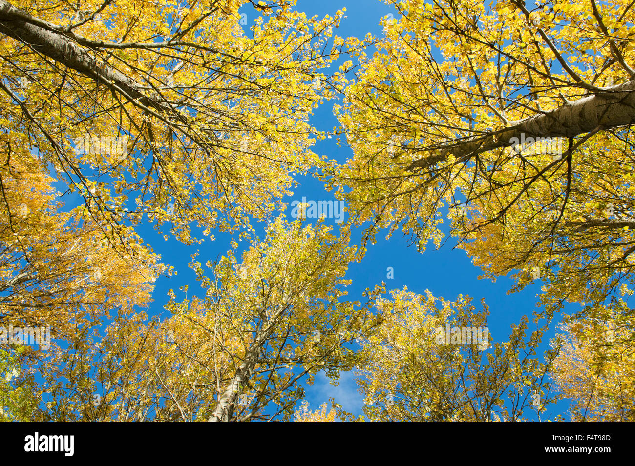 Changing borders hi-res stock photography and images - Alamy