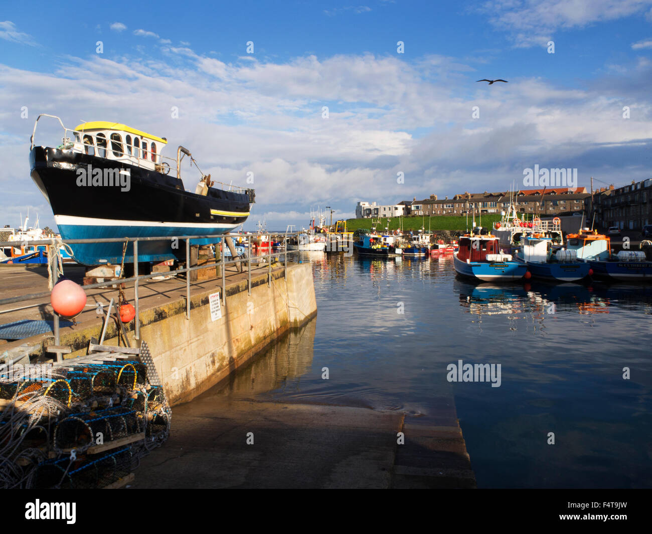 Boat fishing harbour seahouses hi-res stock photography and images - Alamy