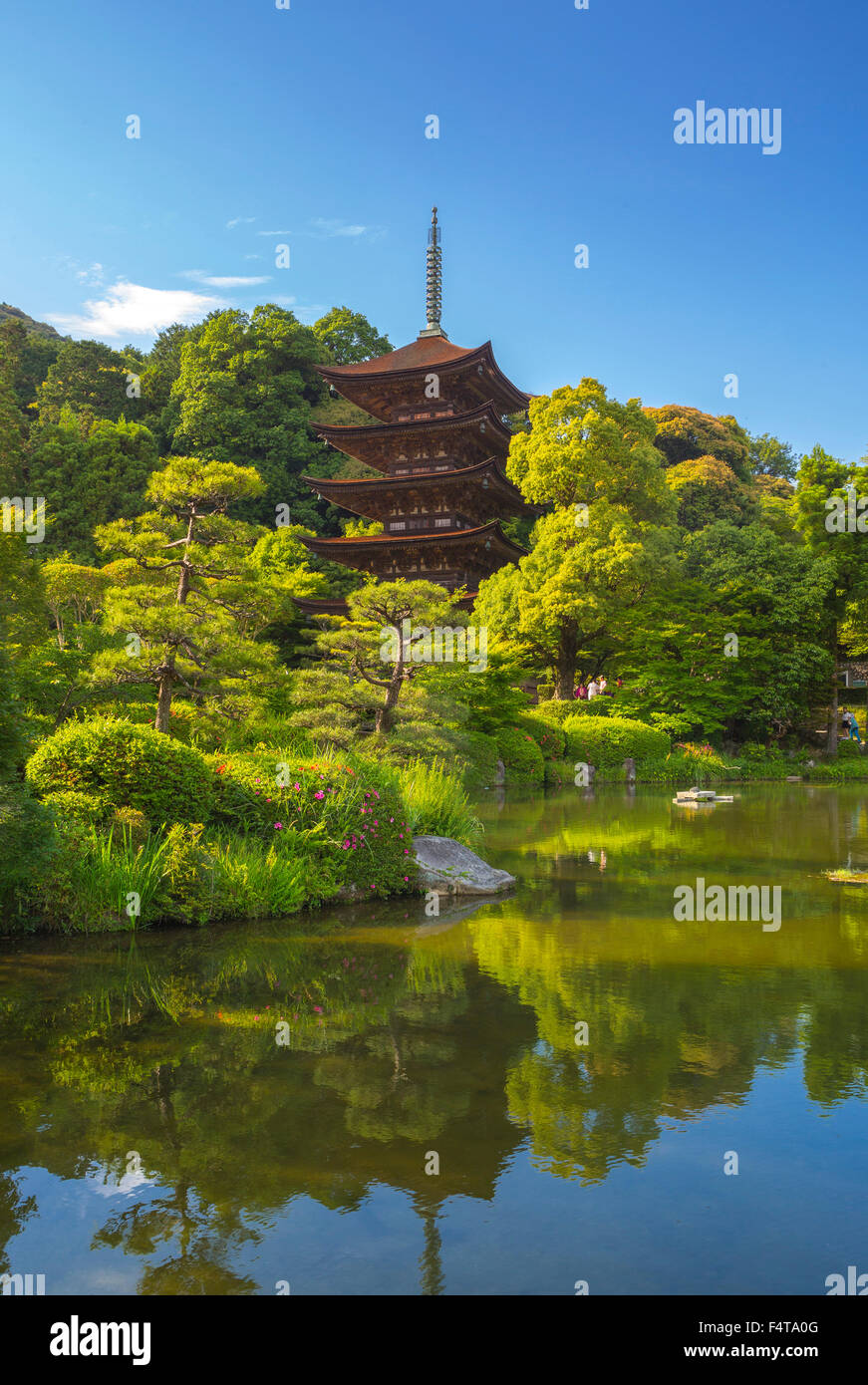 Koen hi-res stock photography and images - Alamy