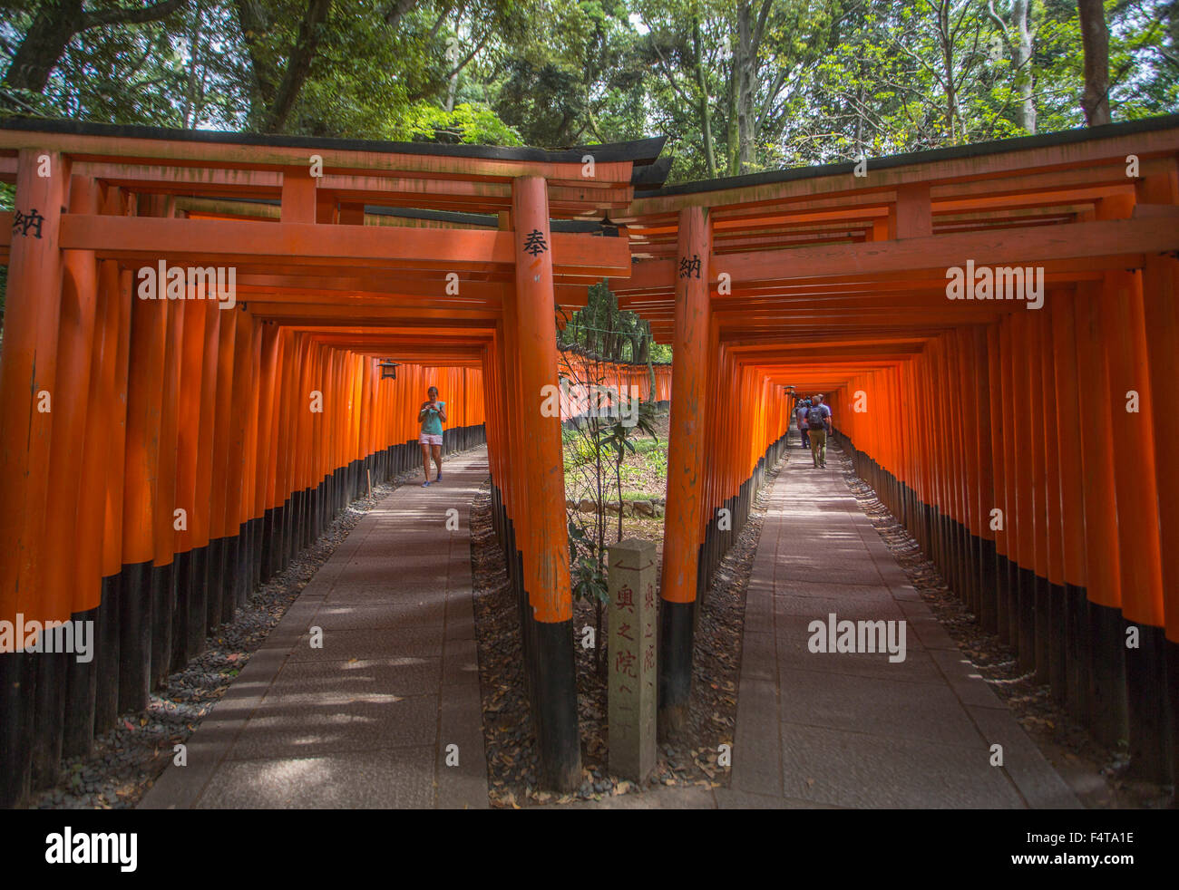Japan, Kyoto City, Fushimi-Inari Taisha Shrine, Toriies Stock Photo - Alamy