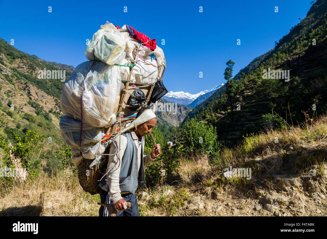 Nepali Porter carrying a big load from Kinja up to Lamjura La (3530m ...