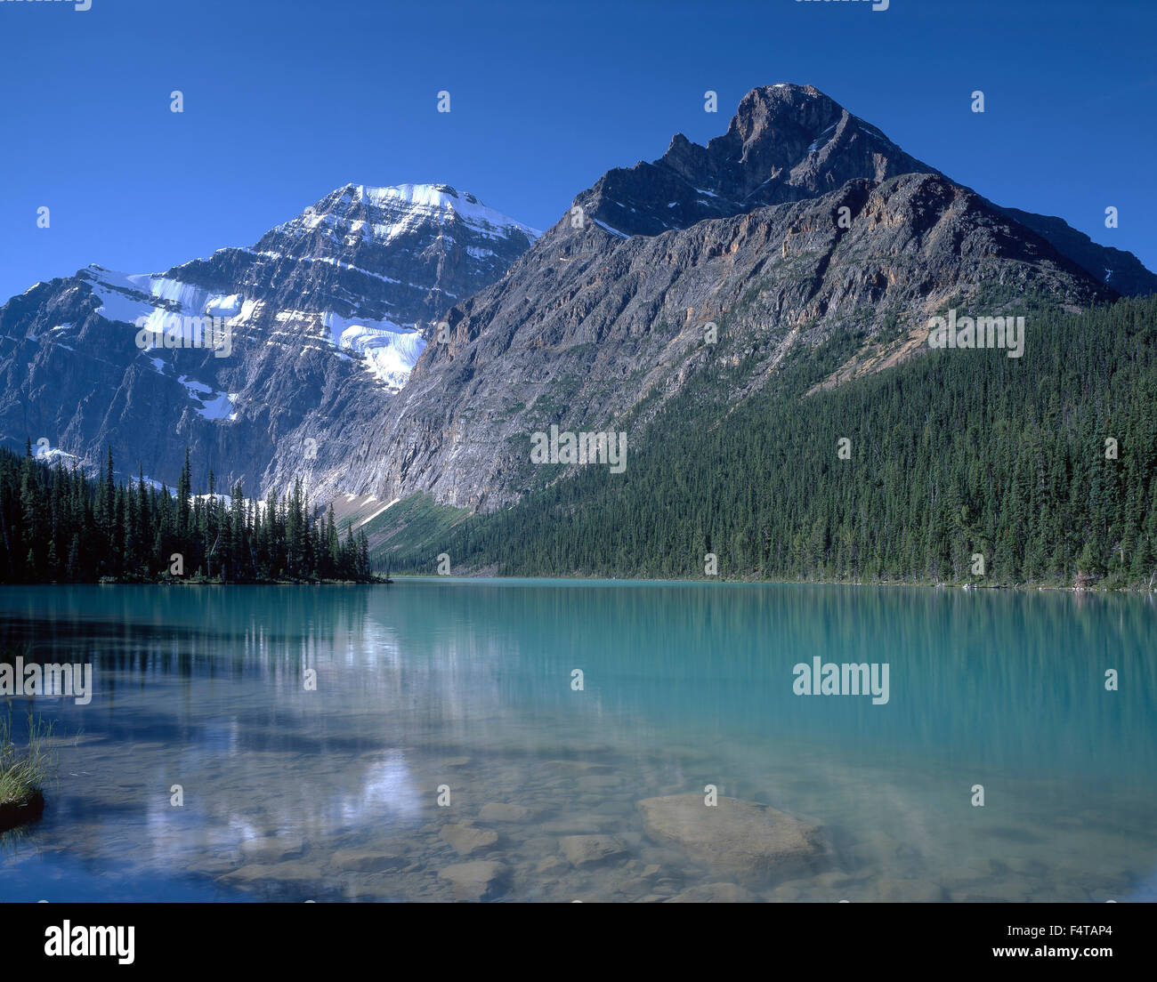 Mt edith cavell hi-res stock photography and images - Alamy