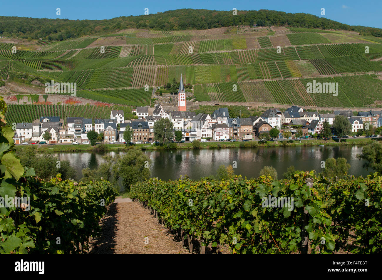 Mosel valley hi-res stock photography and images - Alamy