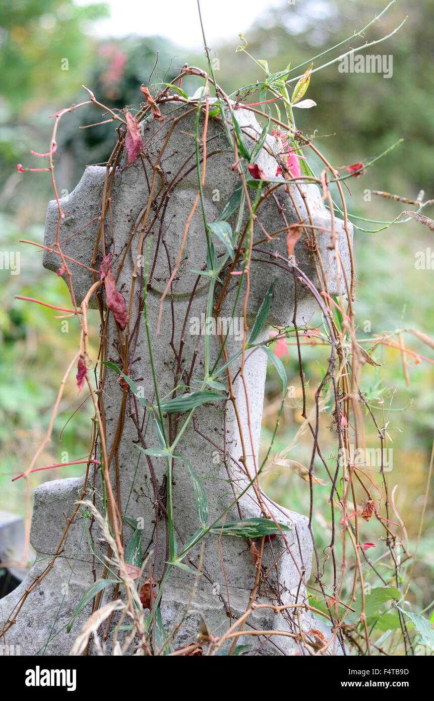 Overgrown Gravestone High Resolution Stock Photography and Images - Alamy