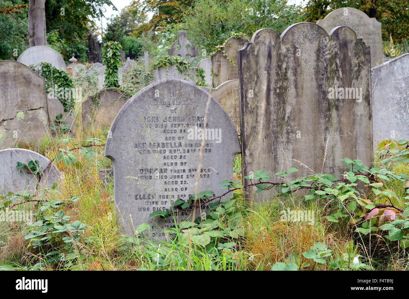 Gravestones in an overgrown cemetery Stock Photo - Alamy