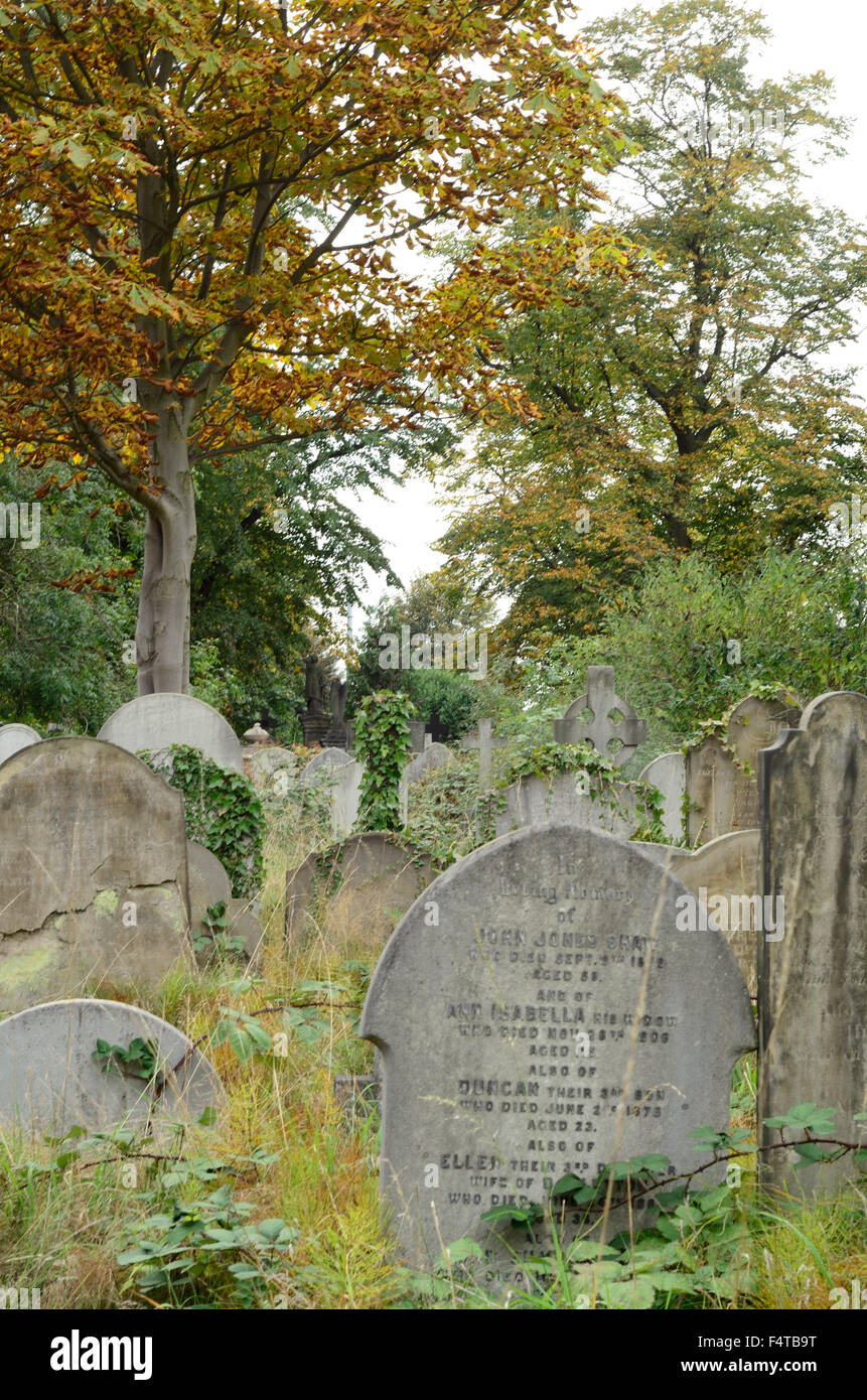 Gravestones in an overgrown cemetery Stock Photo - Alamy