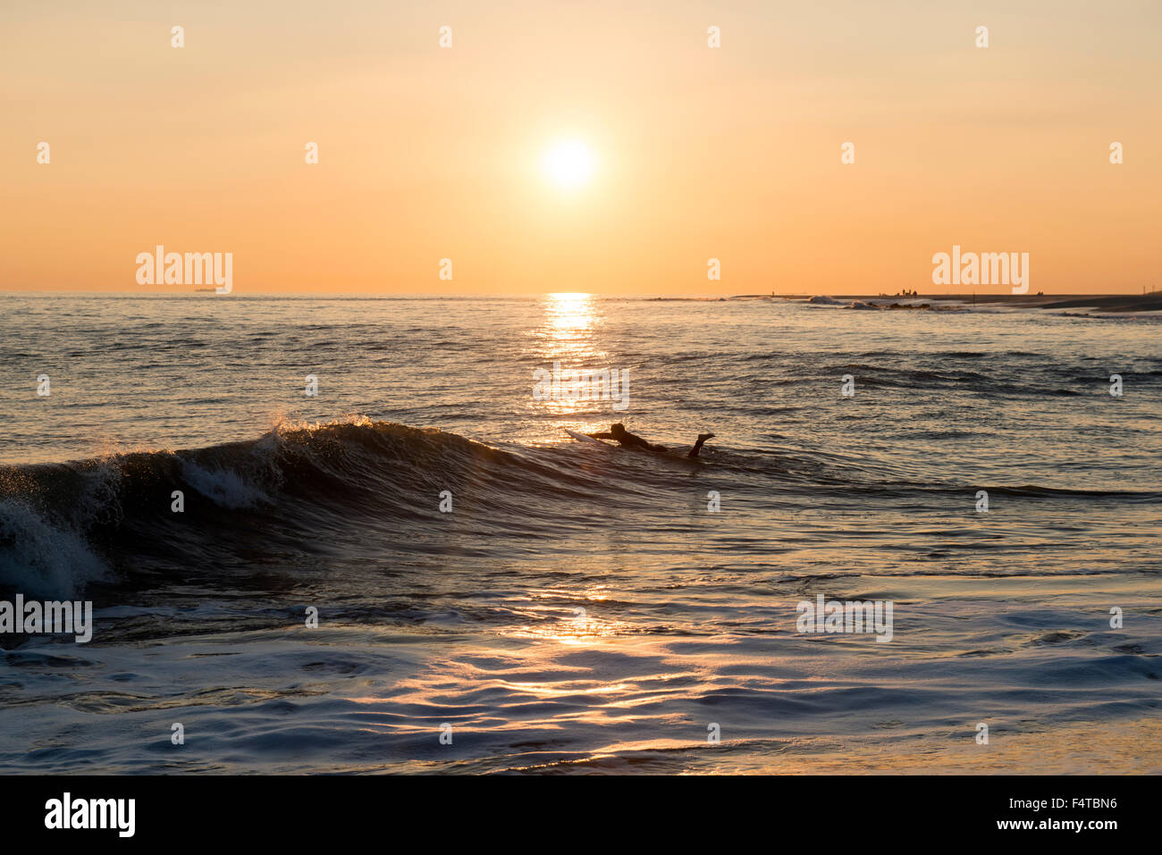 Surfer riding the waves at sunset, Cape May New Jersey USA Stock Photo ...