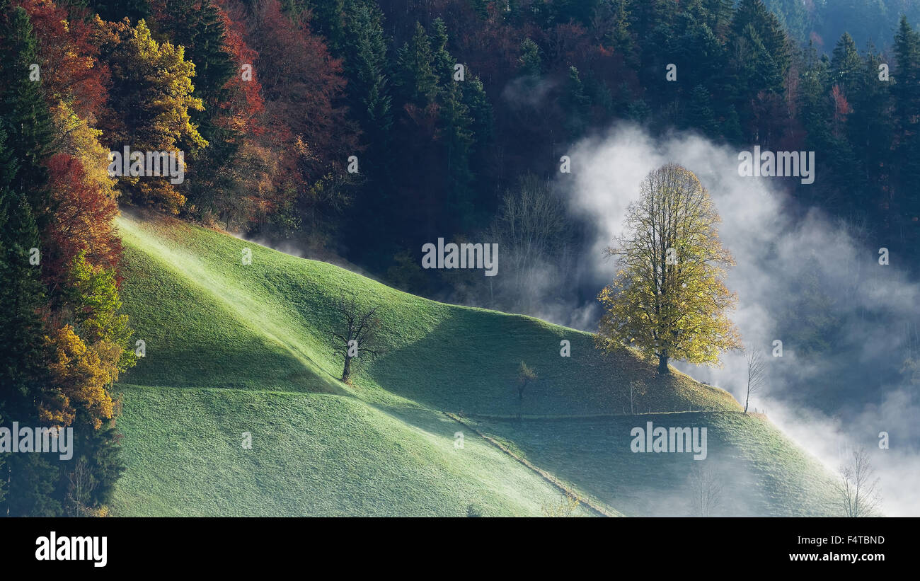 The last morning fog Stock Photo - Alamy