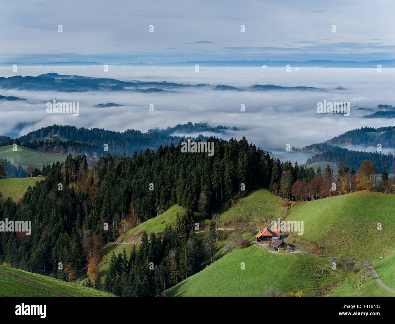 On the Sunnberg the Emmental Stock Photo - Alamy