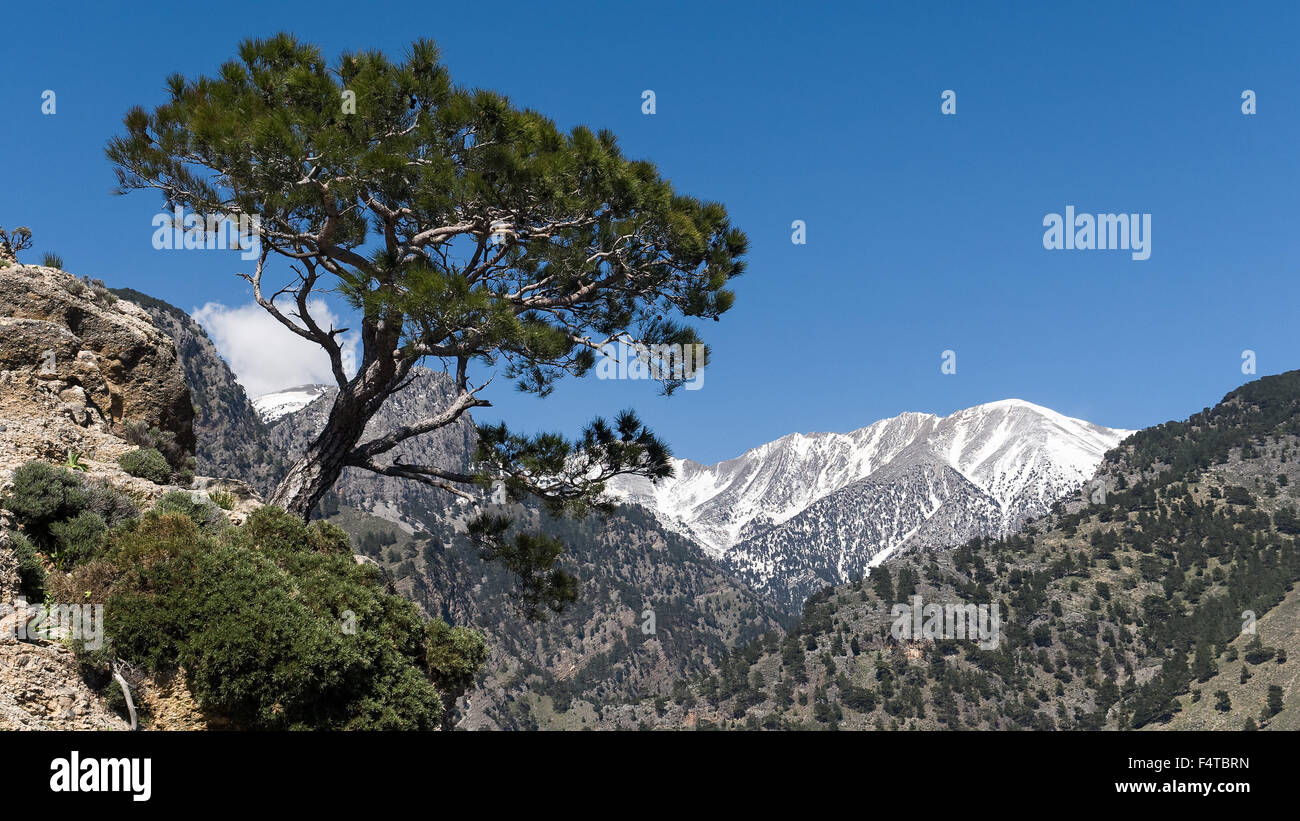 Calabrian hi-res stock photography and images - Alamy