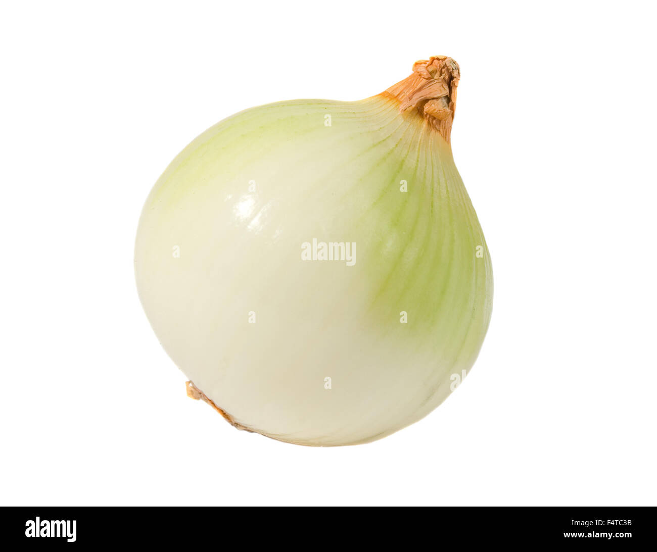 One onion isolated on white background Stock Photo - Alamy