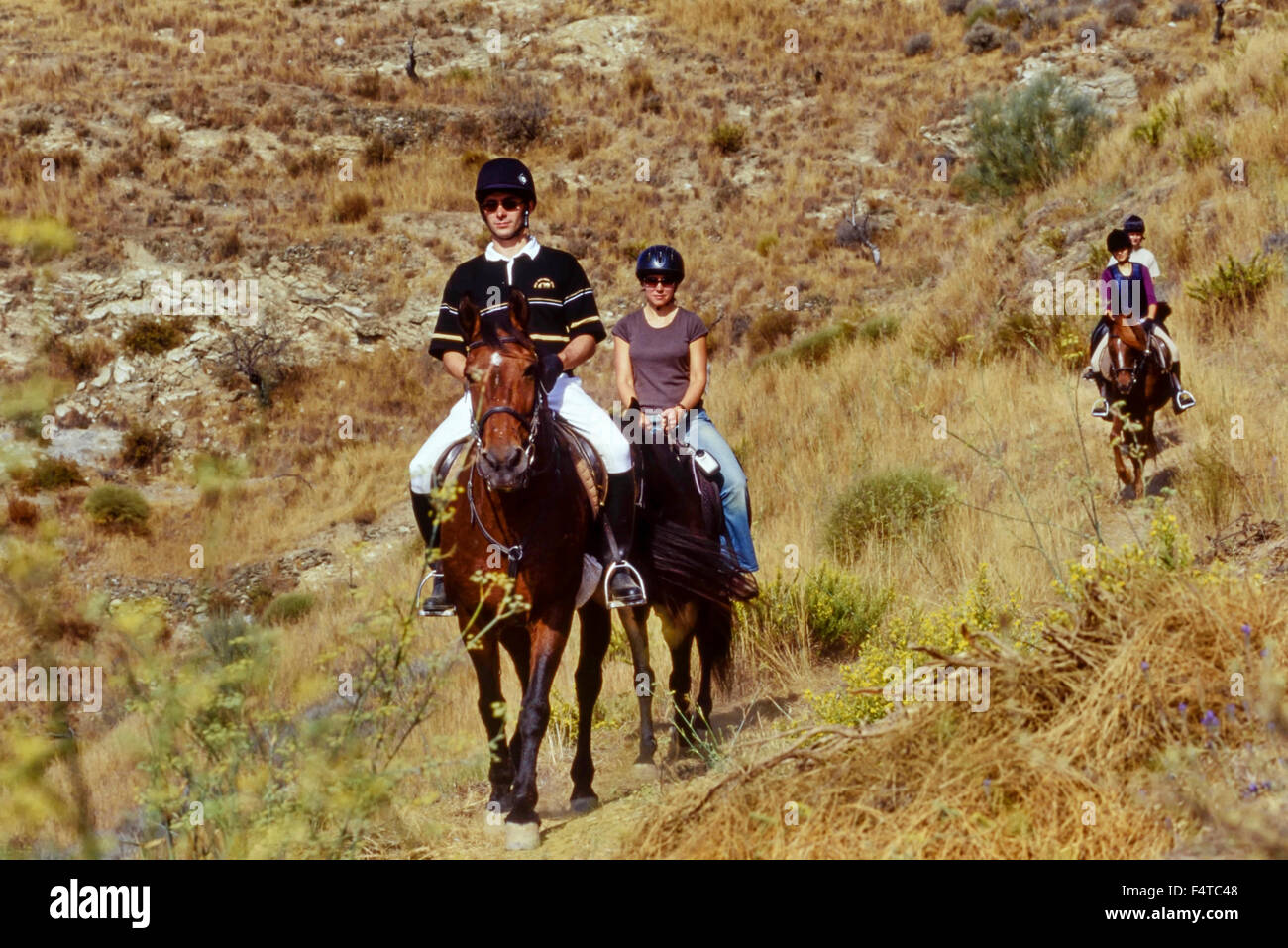 Horse ride trails hi-res stock photography and images - Alamy
