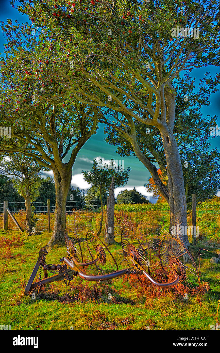 Trees and machinery Stock Photo - Alamy