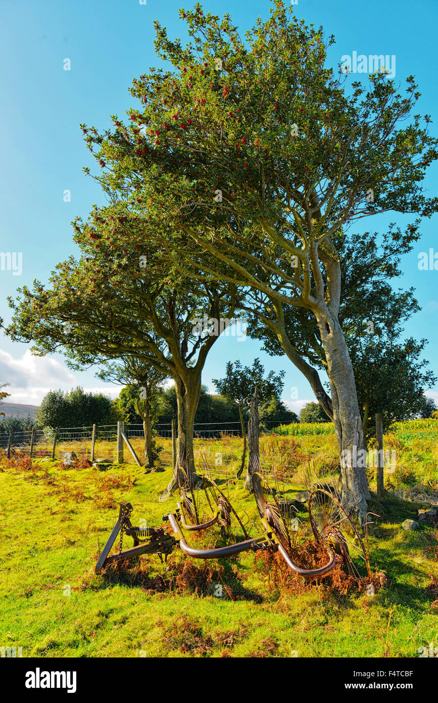 Nature and Machines Stock Photo - Alamy