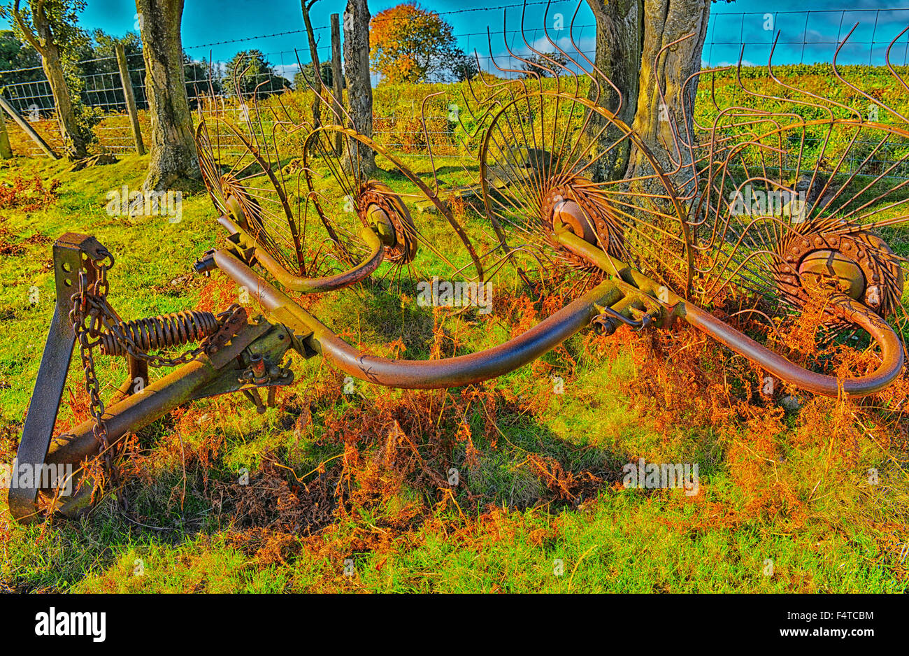 Nature and Machine Stock Photo - Alamy