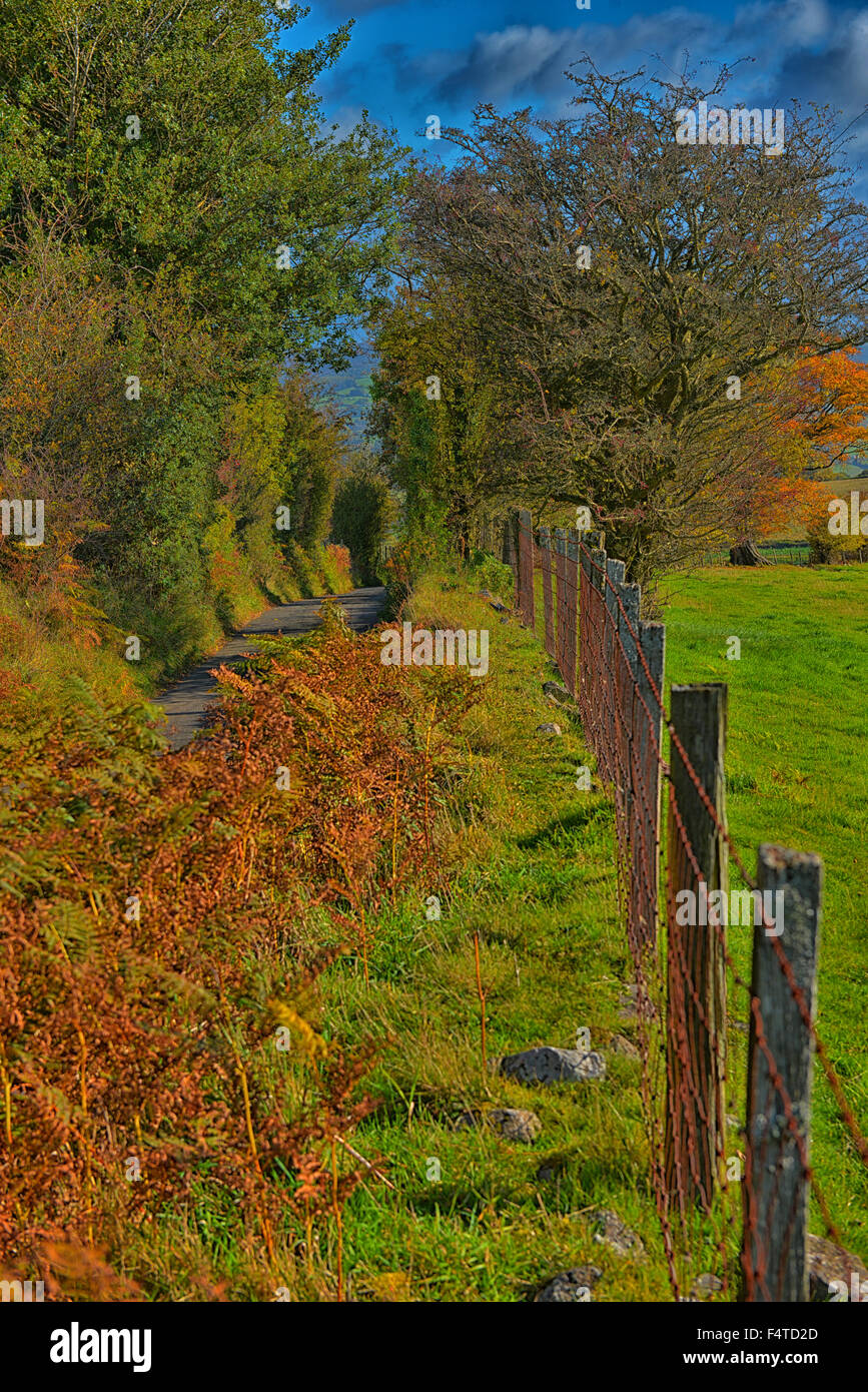 Hedges and fence hi-res stock photography and images - Alamy
