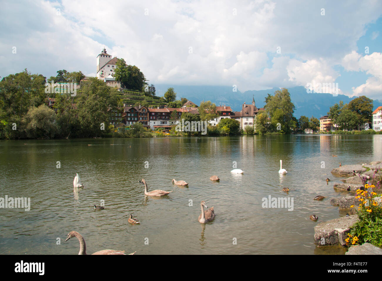 Werdenberg castle hi-res stock photography and images - Alamy