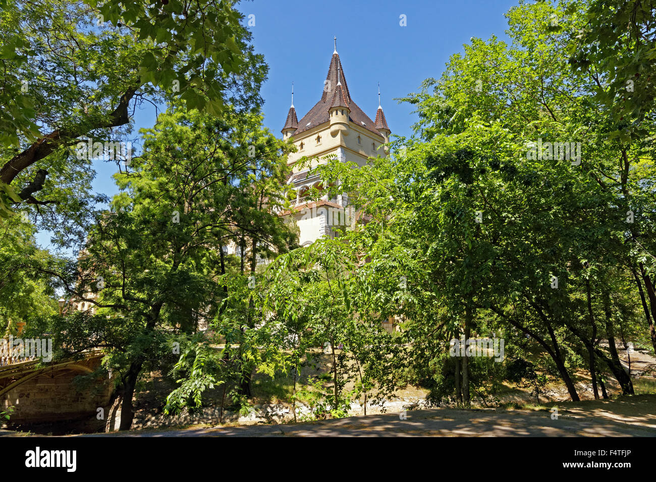 Trees and vajdahunyad castle hi-res stock photography and images - Alamy