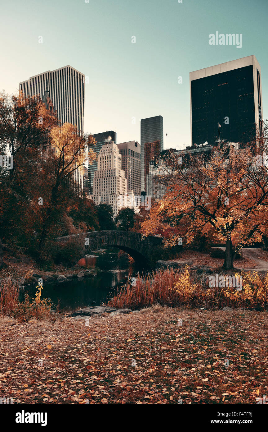 Central Park Autumn and buildings in midtown Manhattan New York City ...