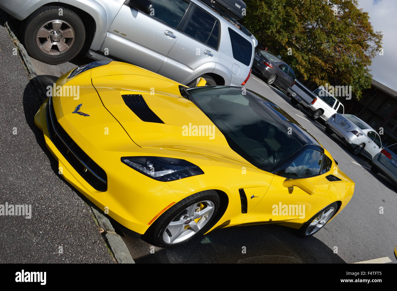 A C7 Corvette Stingray Stock Photo - Alamy
