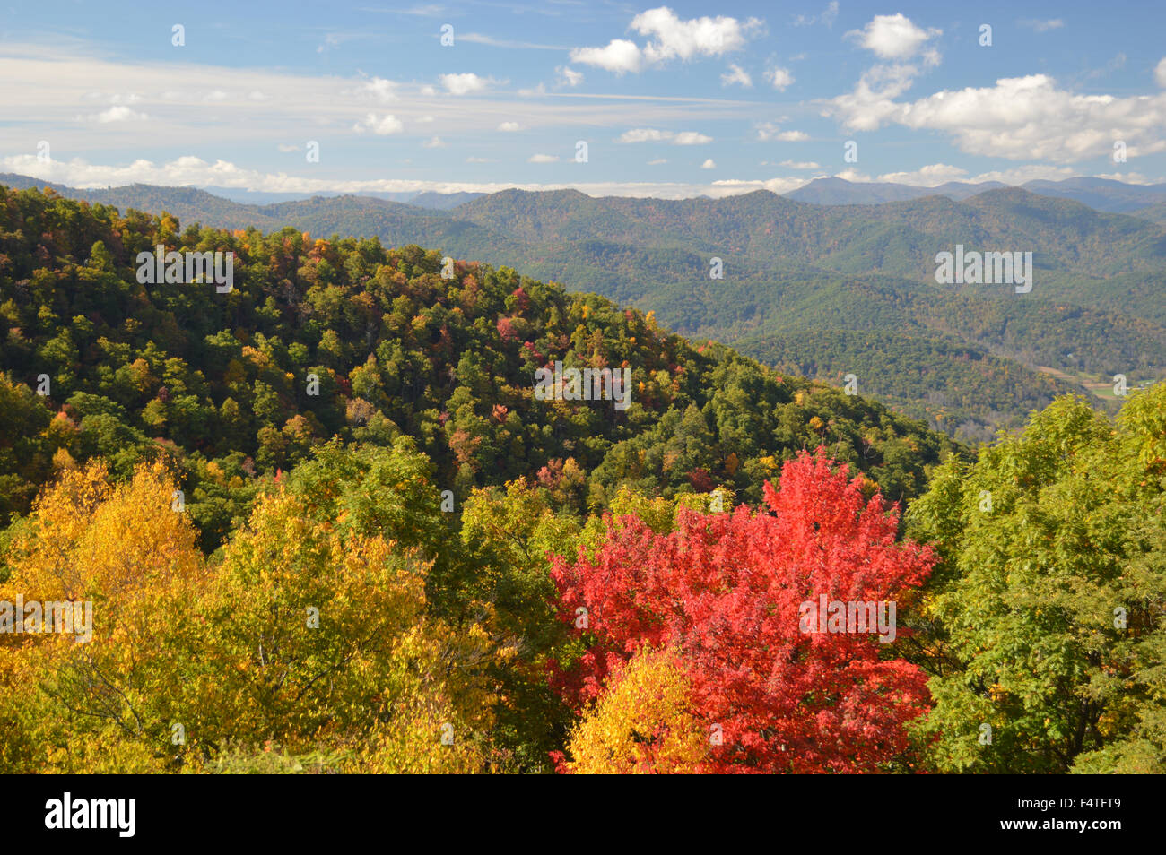 Fall colors along the Blue Ridge Parkway Stock Photo - Alamy