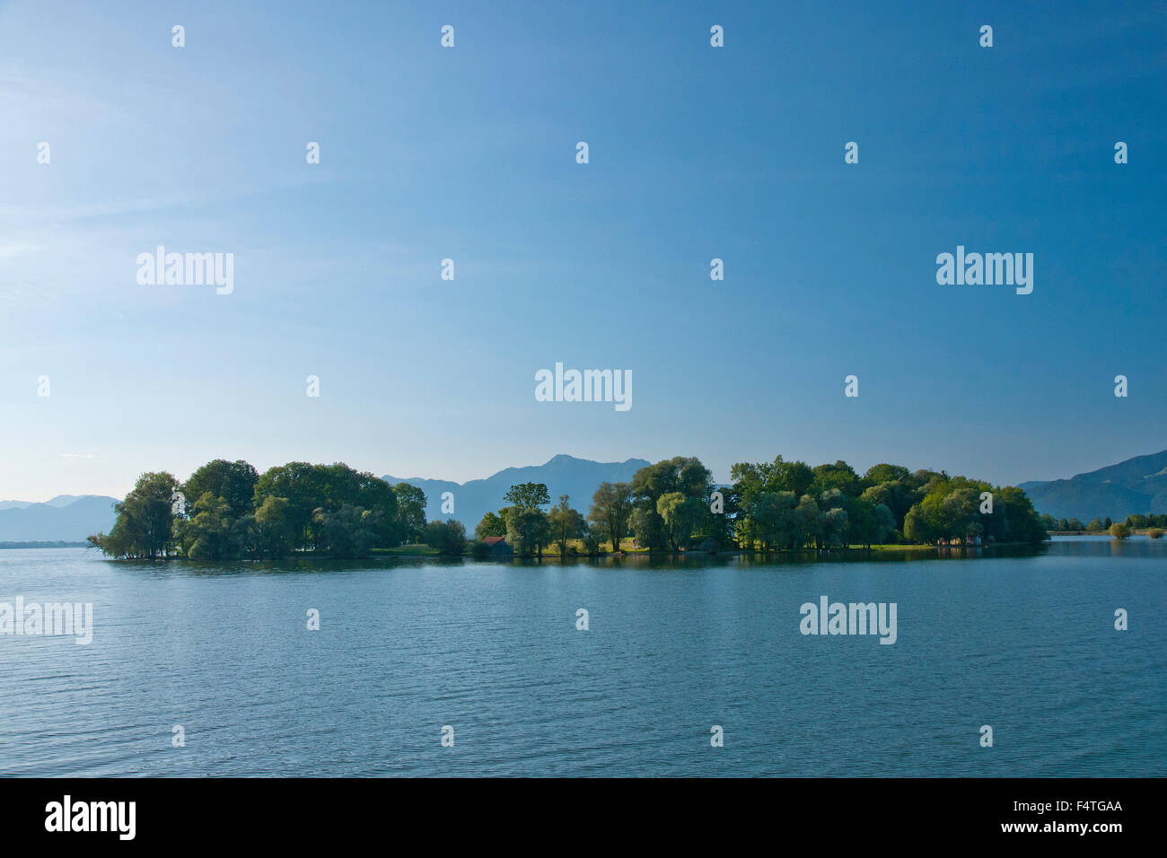 Bavaria, Germany, Upper Bavaria, Chiemsee, herbal island, island, isle ...