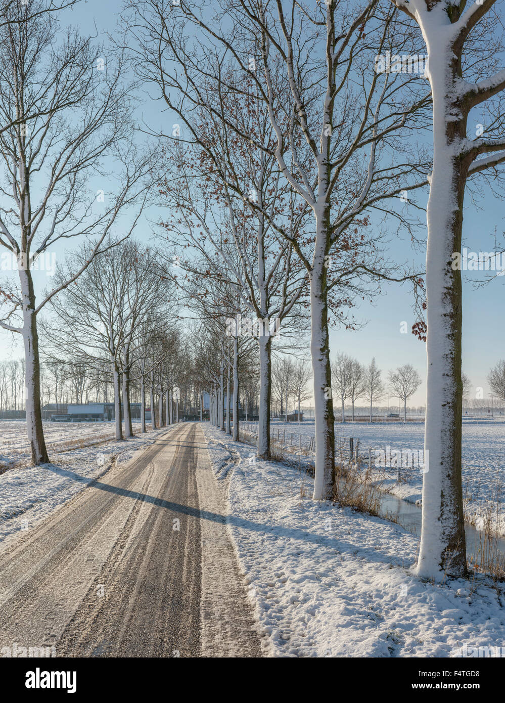 Waardenburg castle hi-res stock photography and images - Alamy