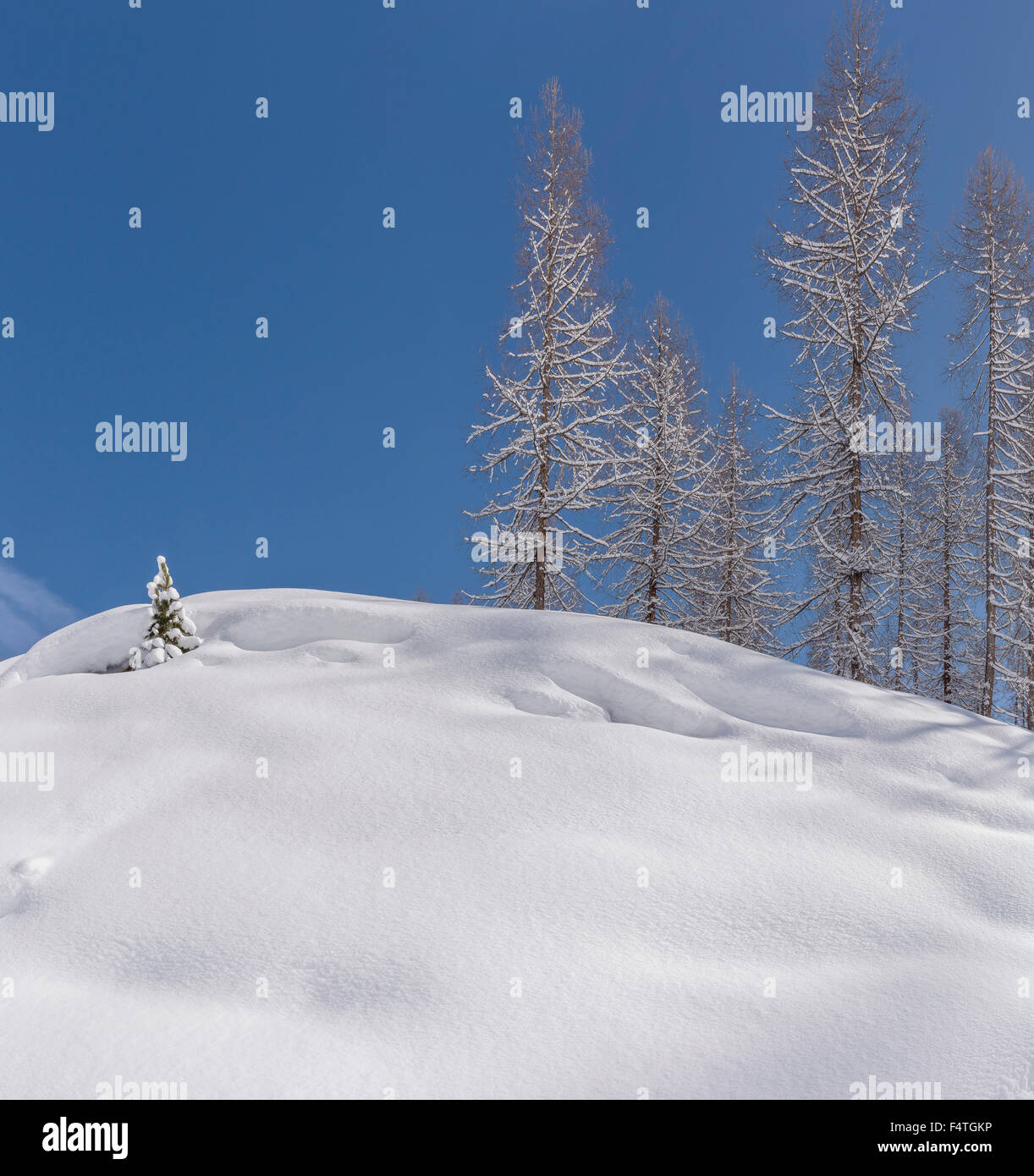 Sertigtal hi-res stock photography and images - Alamy