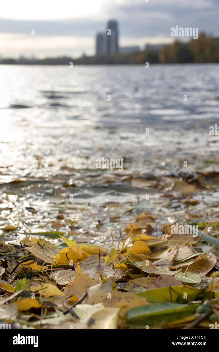 Autumn In City Stock Photo - Alamy