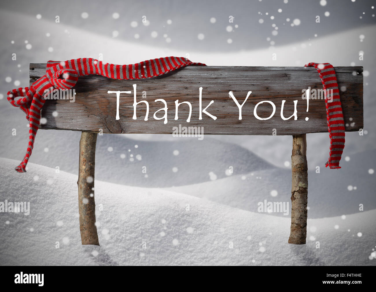Winter Scene Thank You Cards
