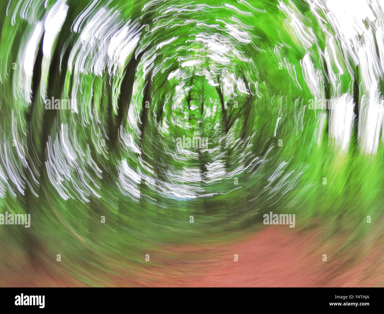 Movement, trees, Circular, concepts, nature, round, spiral Stock Photo ...