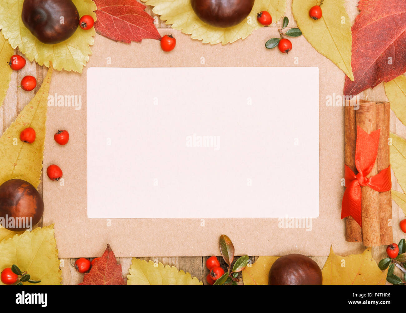 Frame with leaves hi-res stock photography and images - Alamy