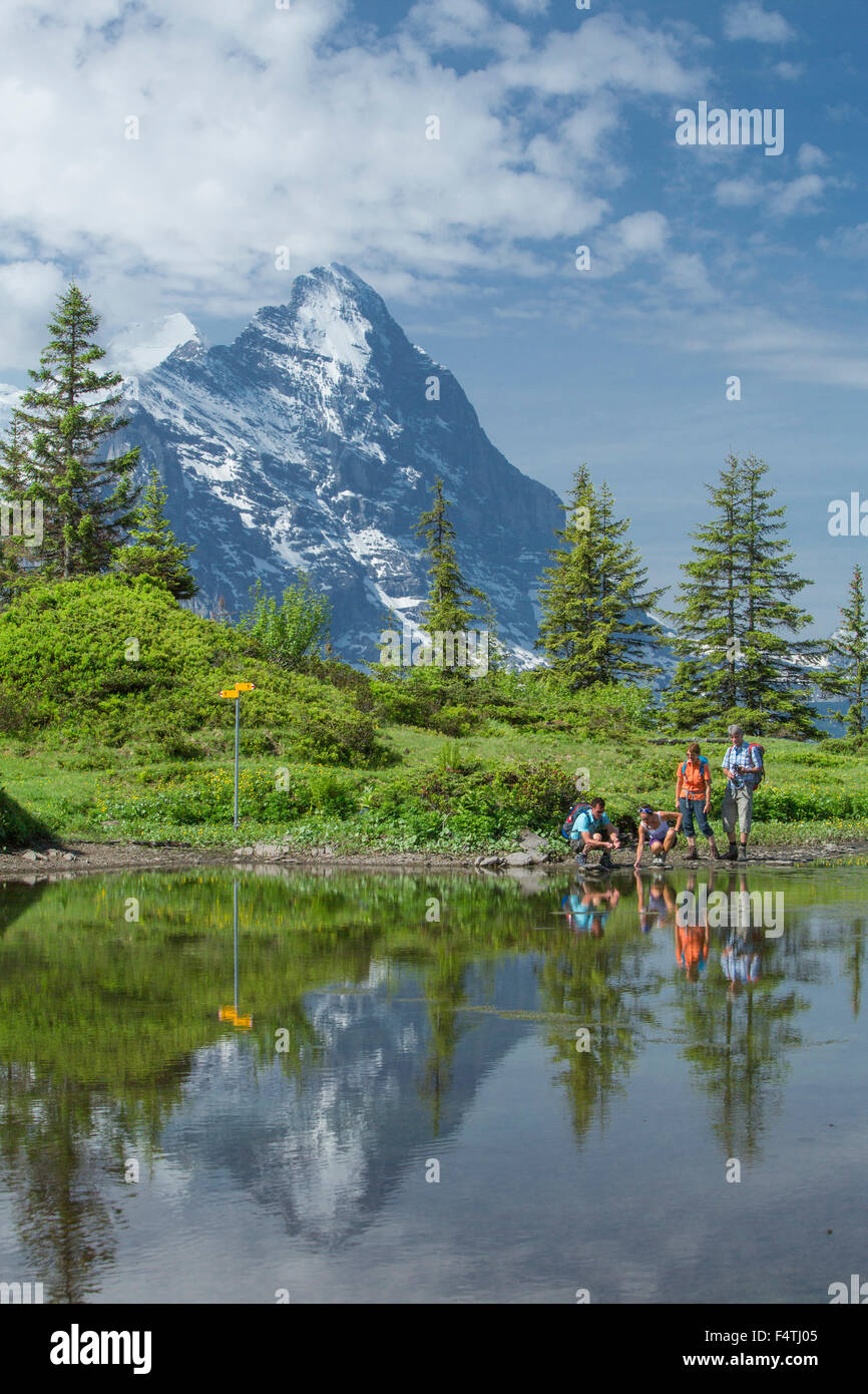 Grosse scheidegg bern hi-res stock photography and images - Alamy