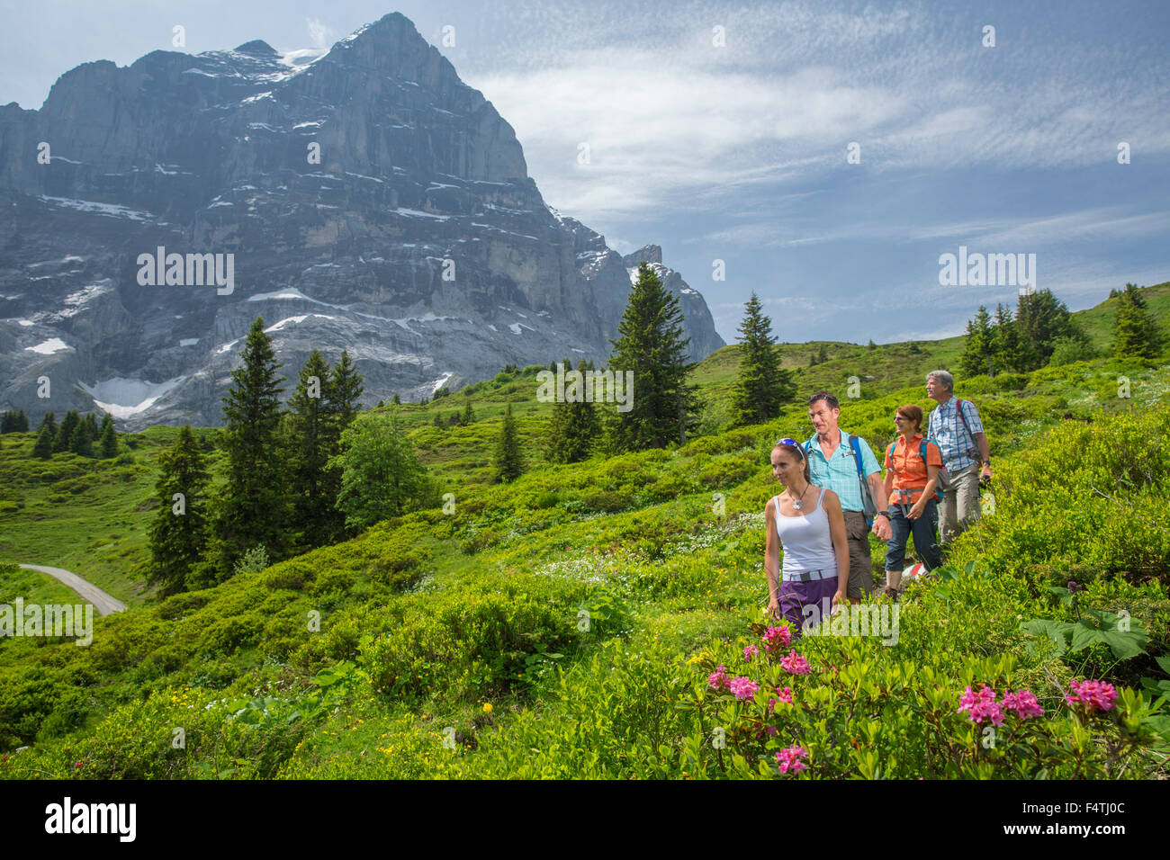 Hiking in Reichenbachtal valley Stock Photo - Alamy