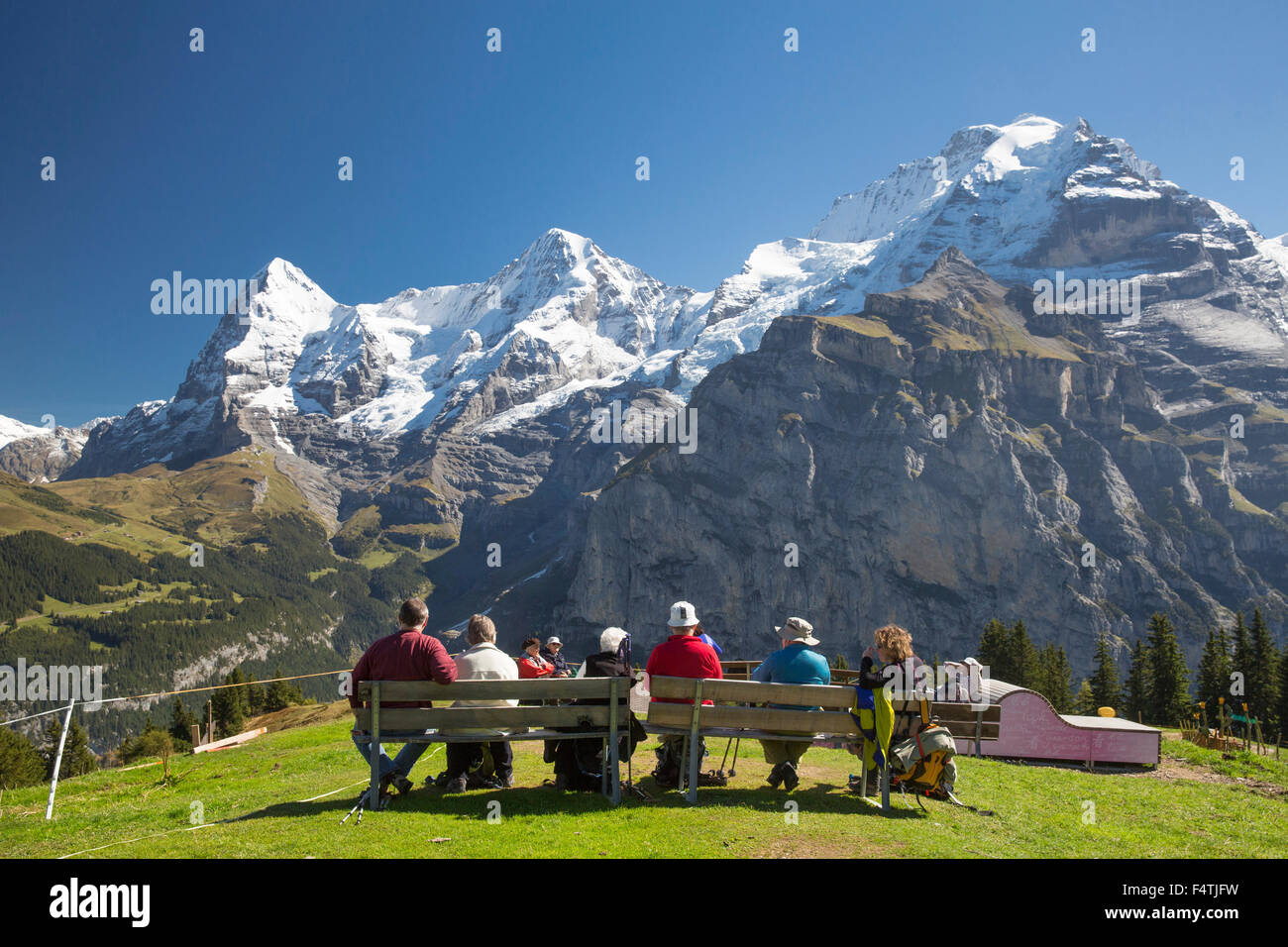 Allmendhubel near Mürren Stock Photo - Alamy