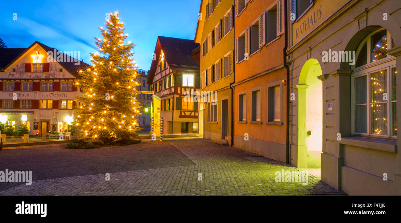 Tree in tree hi-res stock photography and images - Alamy