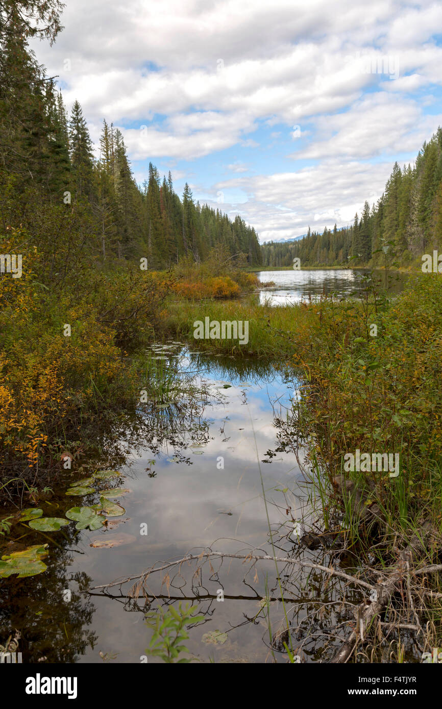 Scenic beauty at Shadow Lake in Wells Gray Provincial Park, British ...