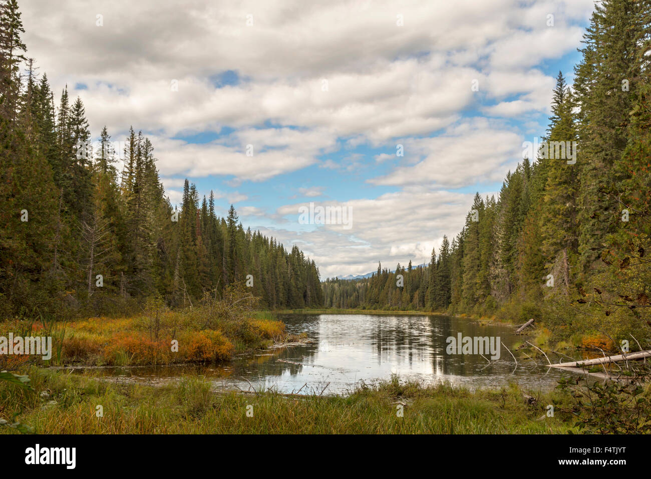 Scenic beauty at Shadow Lake in Wells Gray Provincial Park, British ...