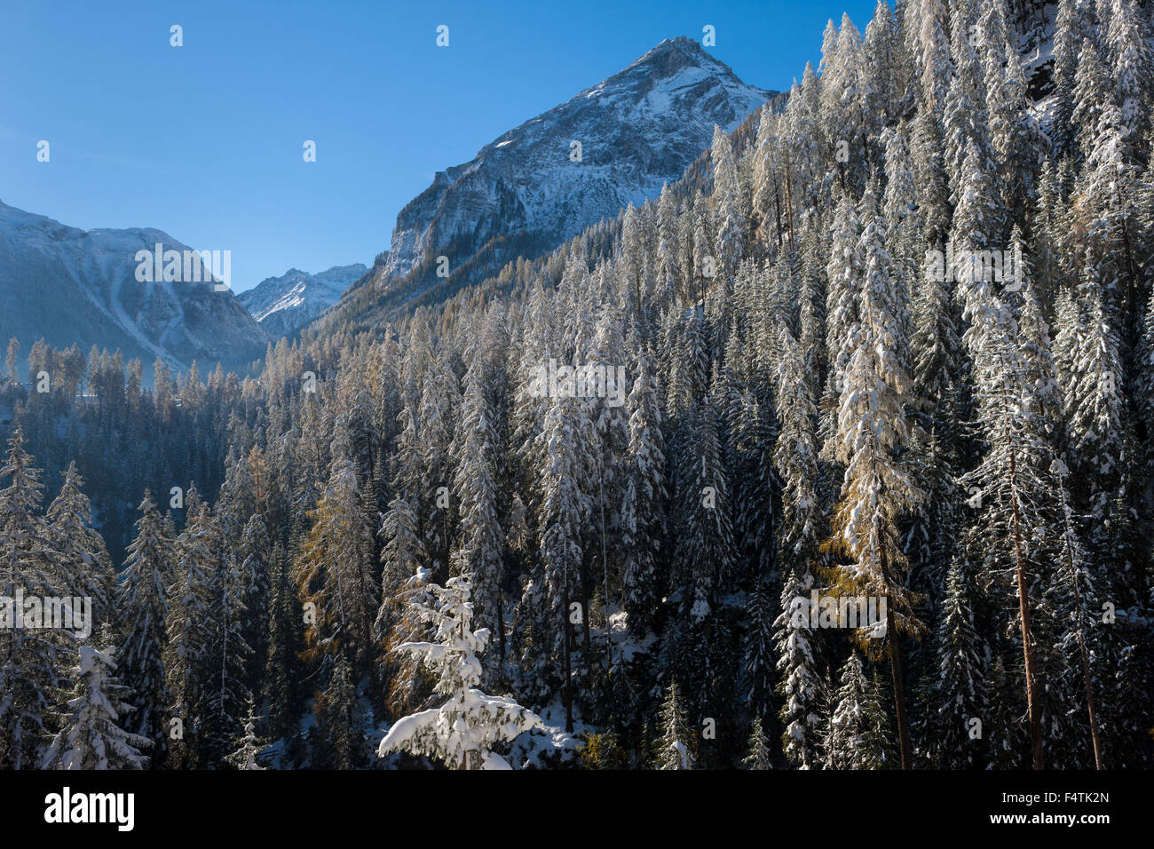 Albula switzerland hi-res stock photography and images - Alamy