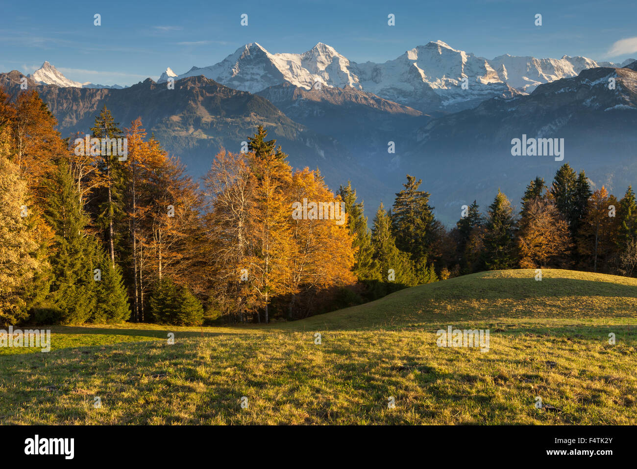Beatenberg switzerland hi-res stock photography and images - Alamy