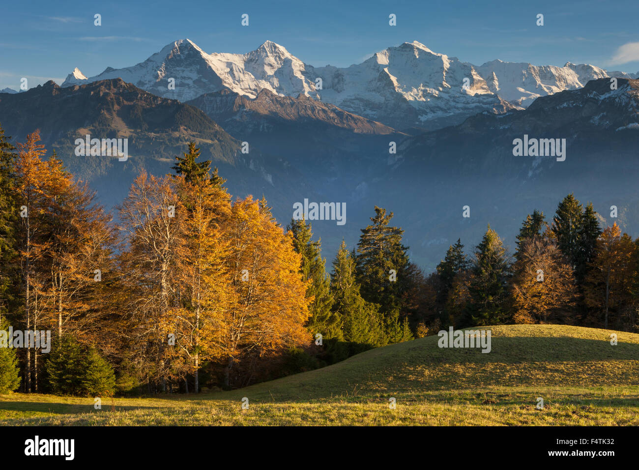 Beatenberg, Switzerland, canton Bern, Bernese Oberland, vantage point ...