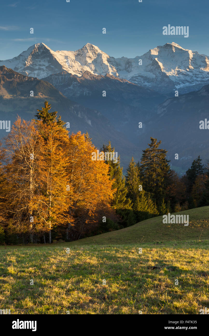 Beatenberg hi-res stock photography and images - Alamy