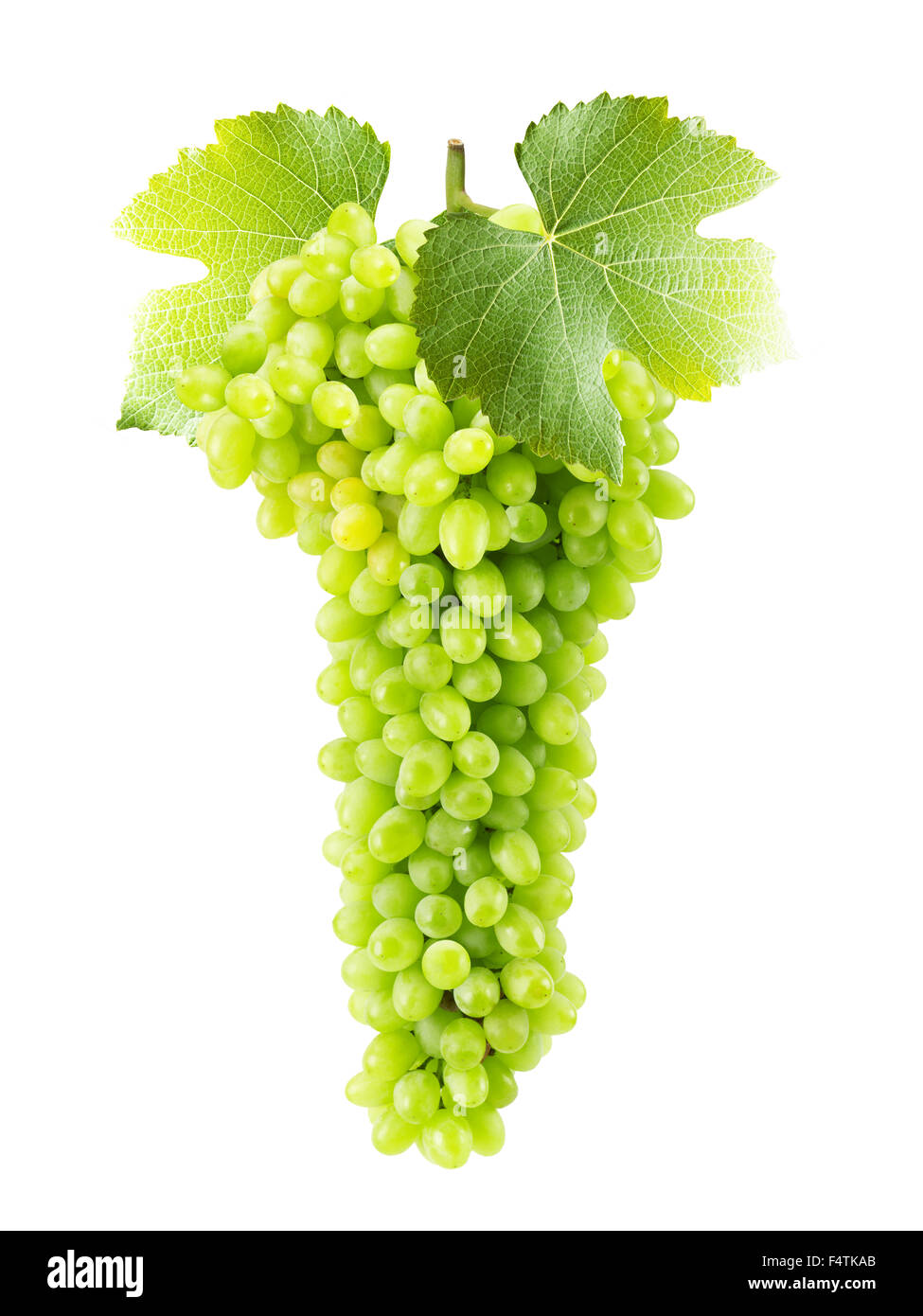 green grape isolated on the white background Stock Photo - Alamy