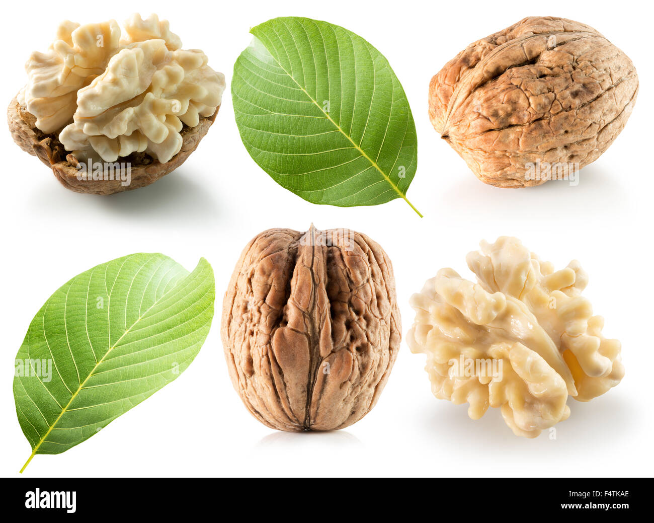 collection of walnuts isolated on the white background Stock Photo - Alamy