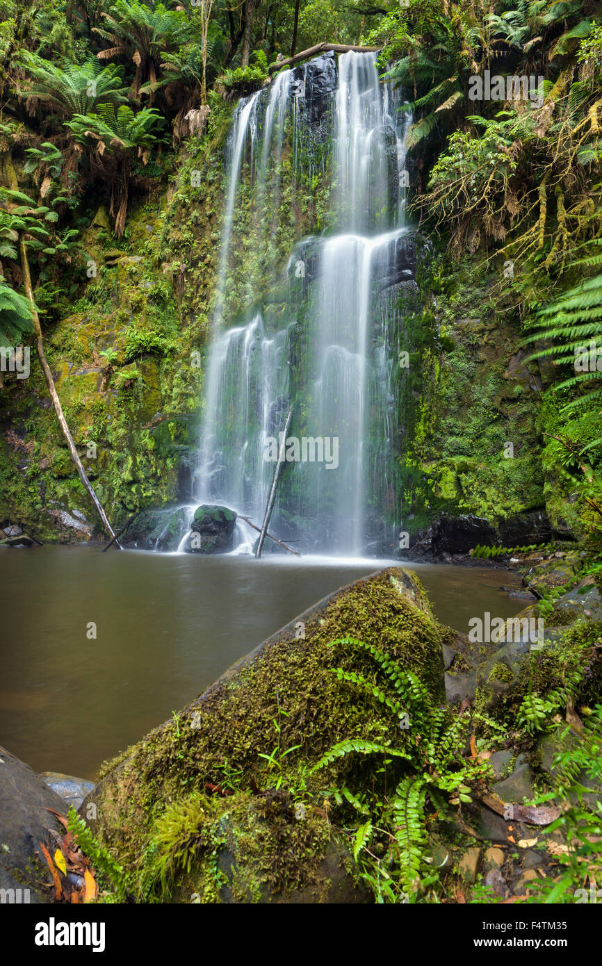Beauchamp Falls, Australia, Victoria, Great Otway, national park ...
